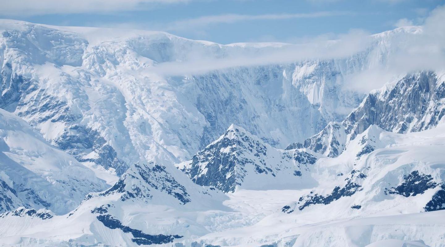 Top 10 facts about Antarctic krill | WWF