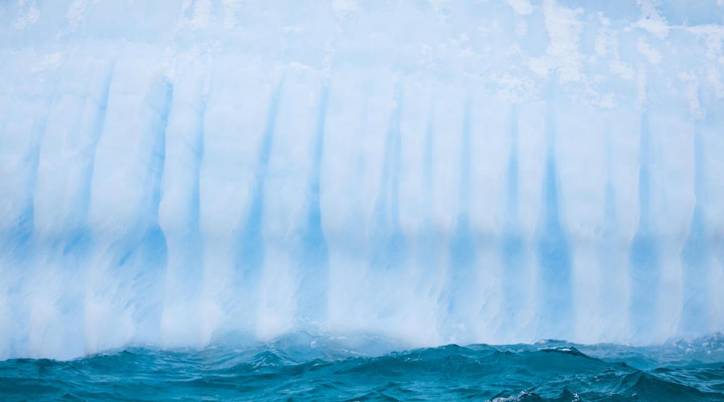 Top 10 facts about Antarctic krill | WWF