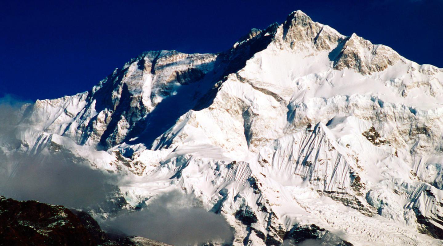 Top 5 facts about Red Pandas | WWF