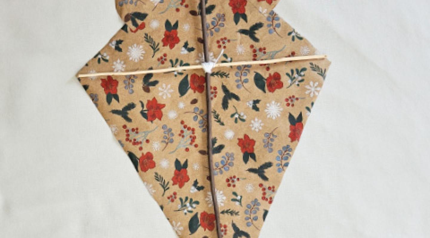 Make your own paper kite | WWF