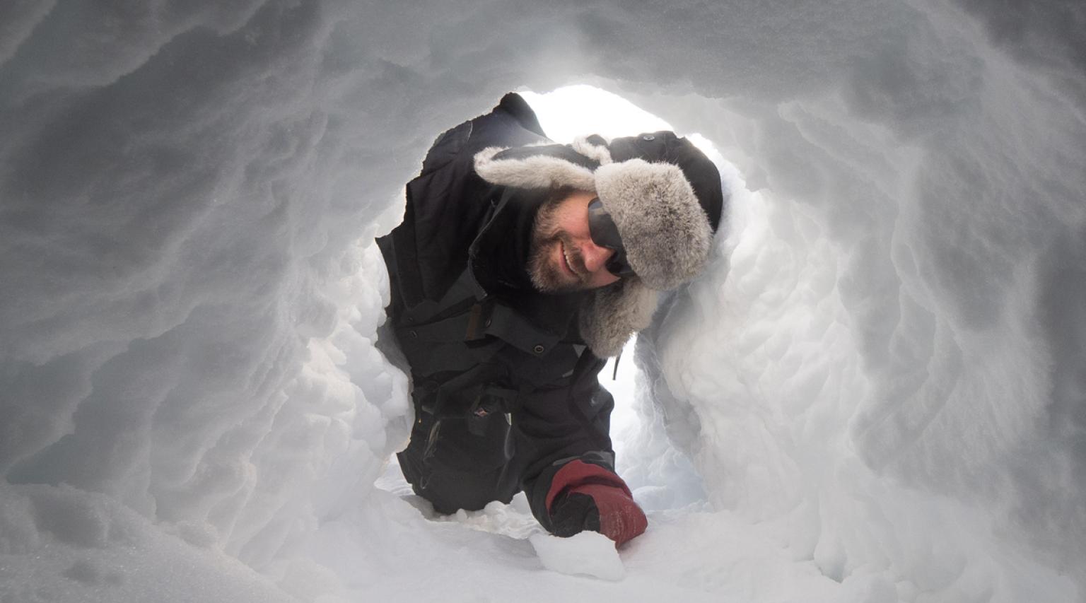 An Arctic adventure | WWF