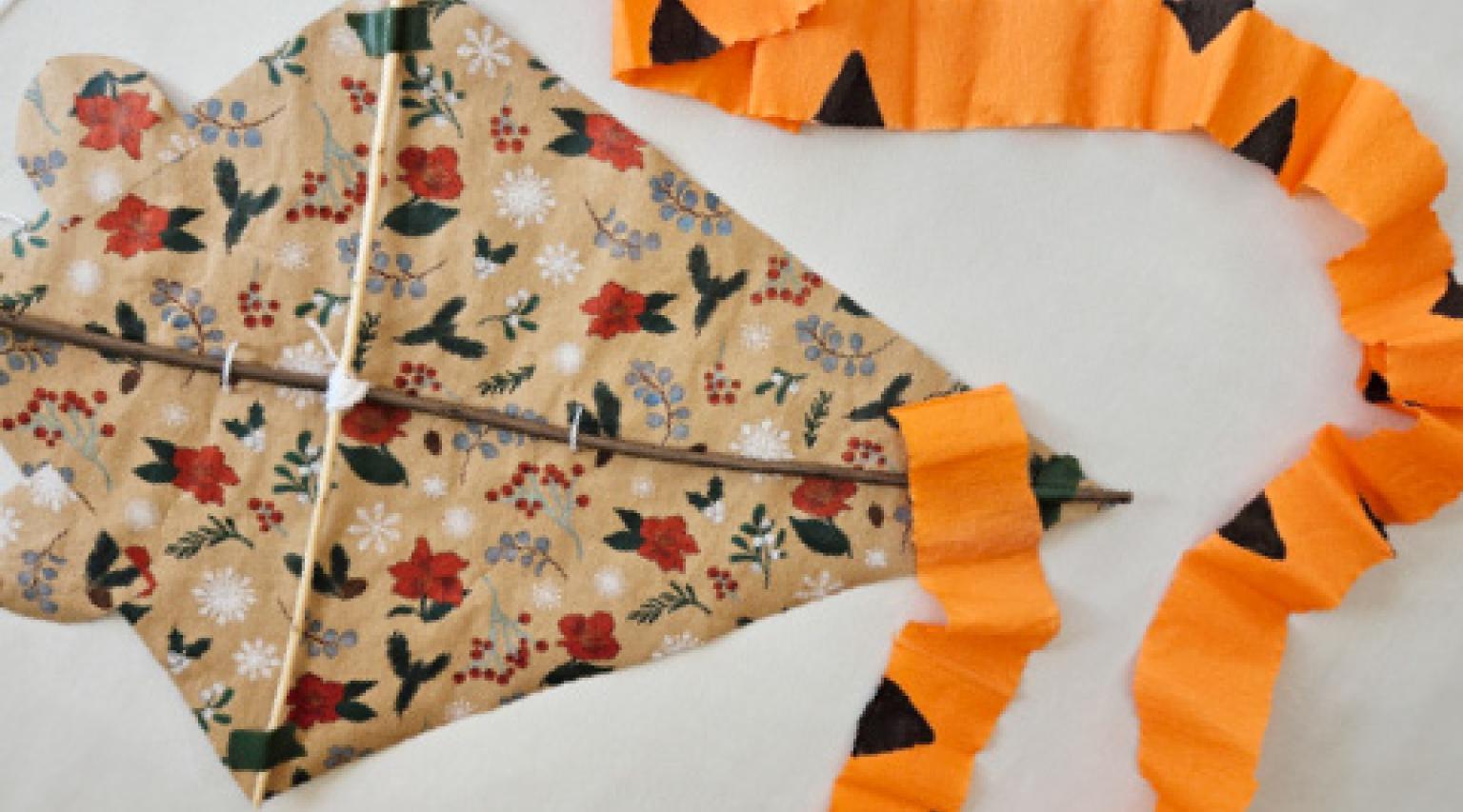 Make your own paper kite | WWF