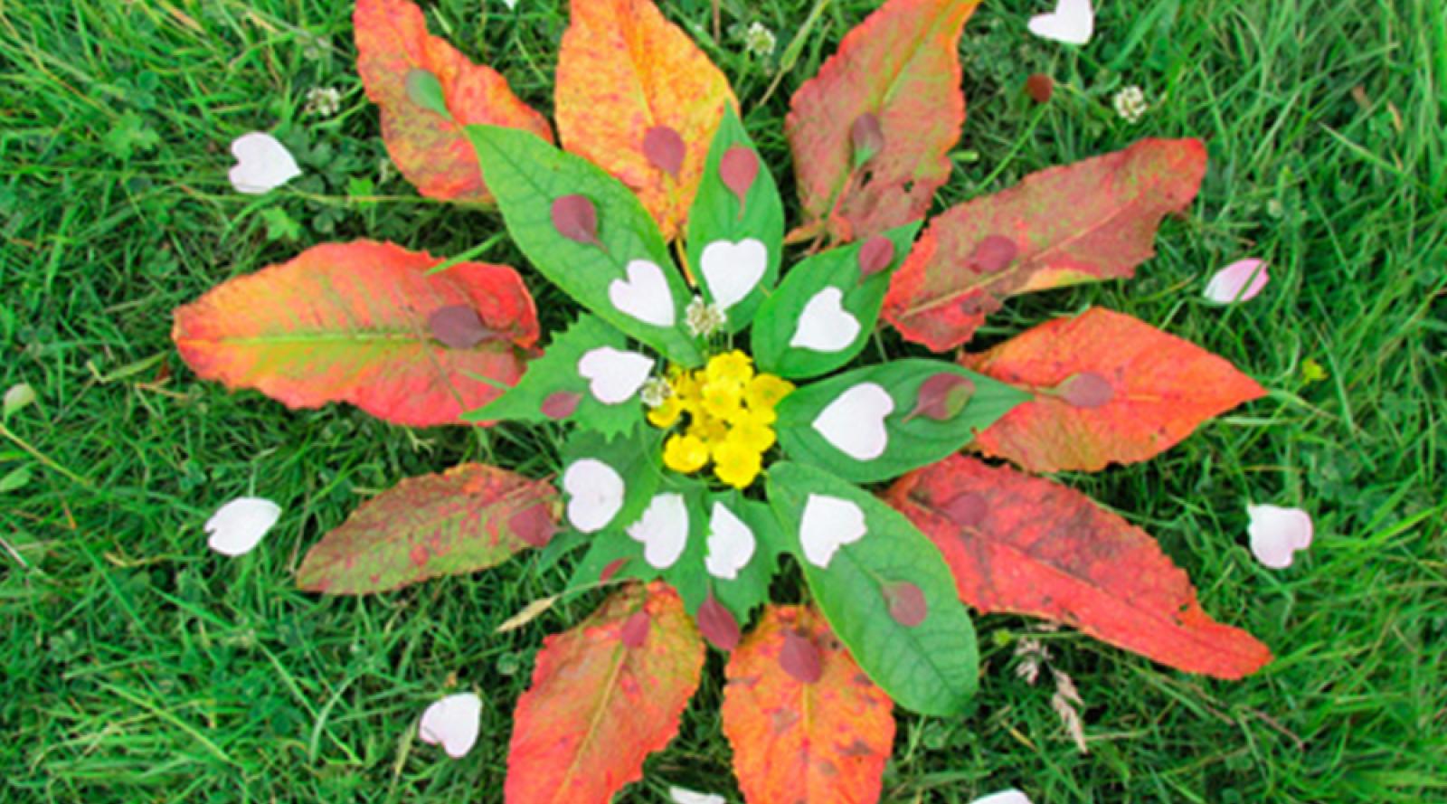 Make a nature mandala | WWF