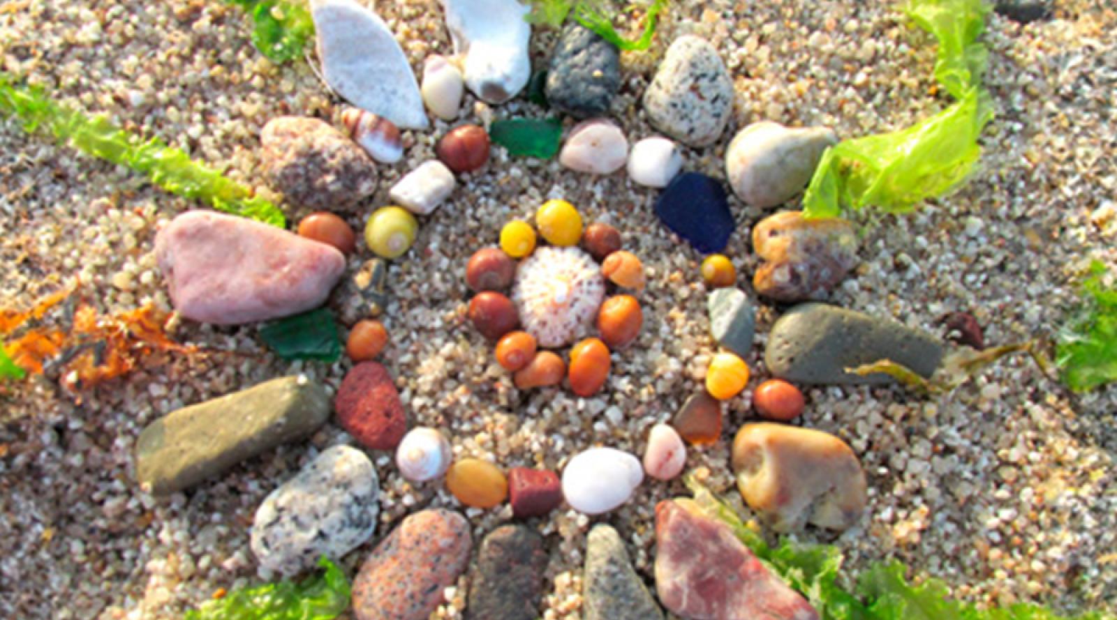 Make a nature mandala | WWF
