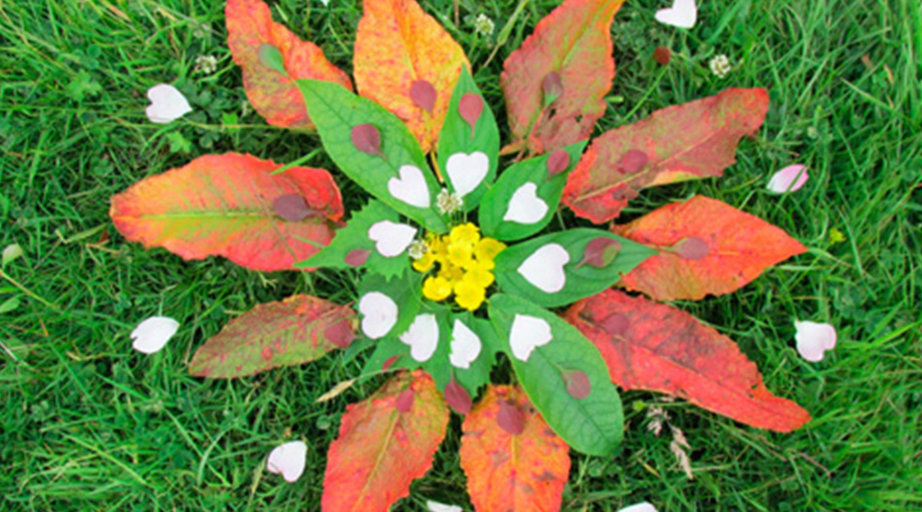 Make a nature mandala | WWF