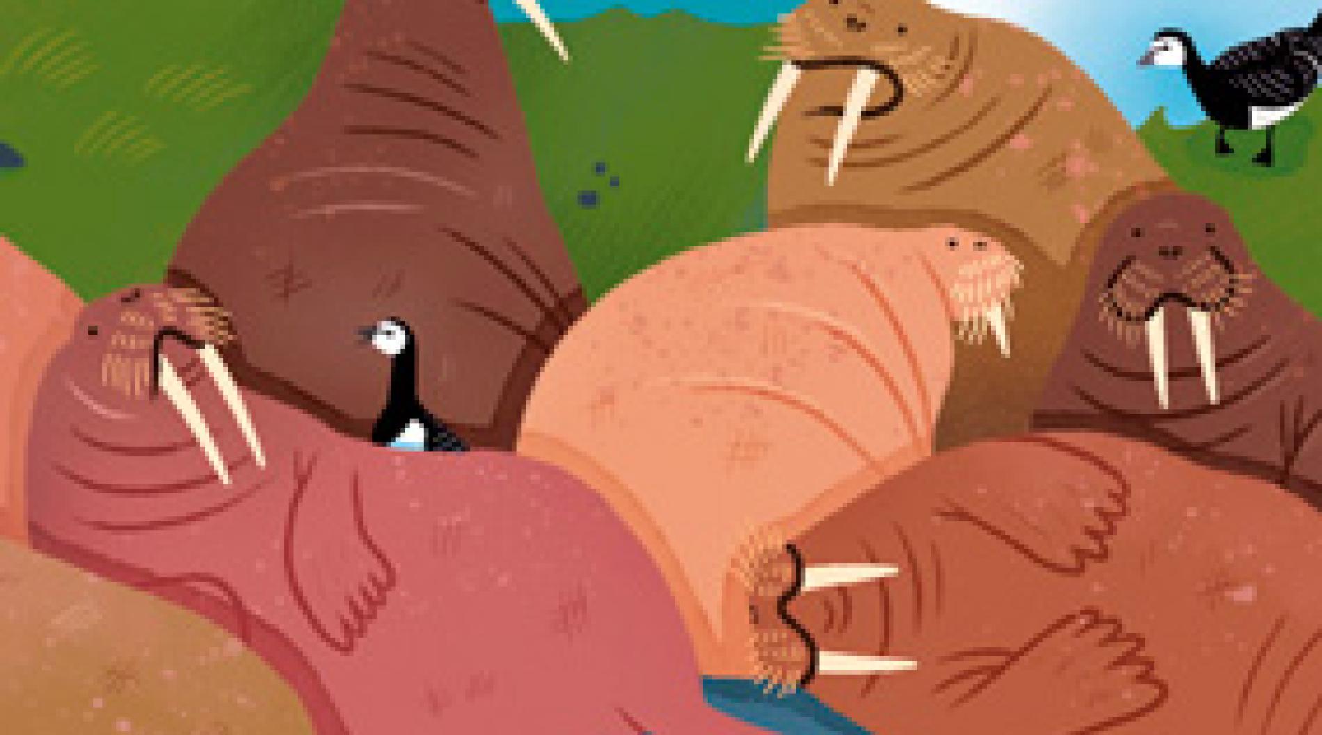 Test your Arctic observation | WWF