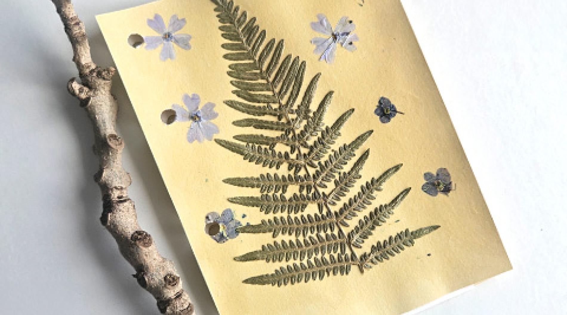 Create a nature book | WWF
