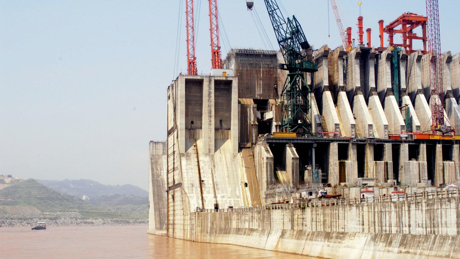 The Yangtze River finless porpoise | WWF