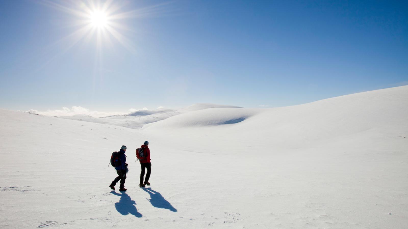 Learn about our frozen environments | WWF