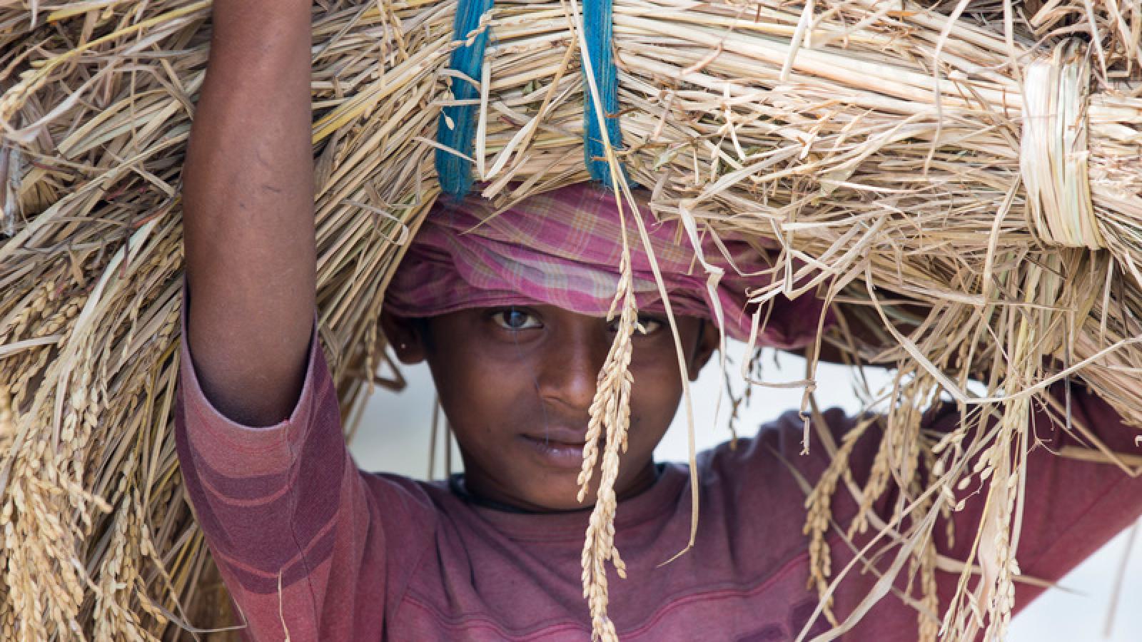 The Ganges: India's sacred river | WWF