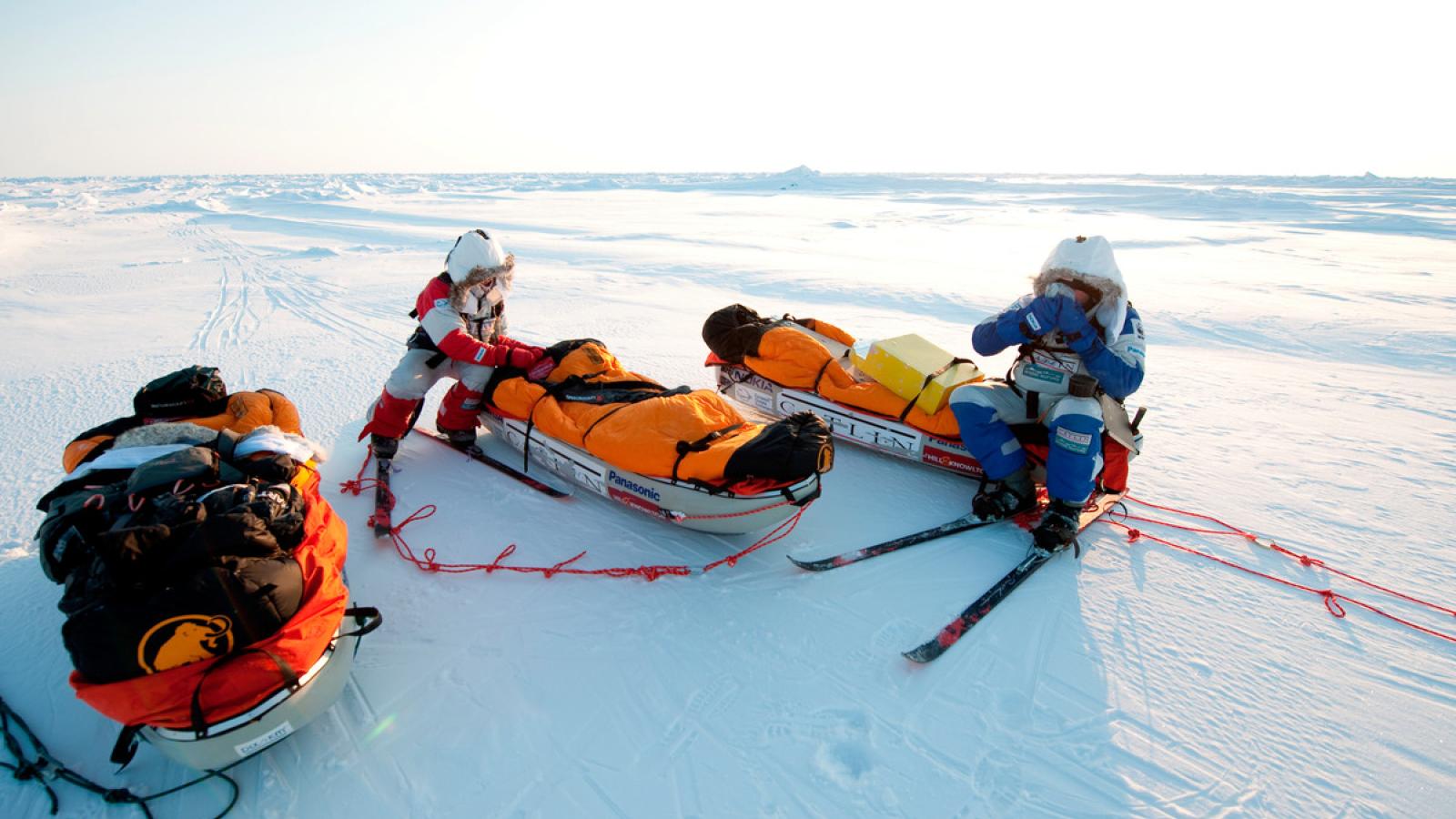 The icy waters of the Arctic of the north pole | WWF