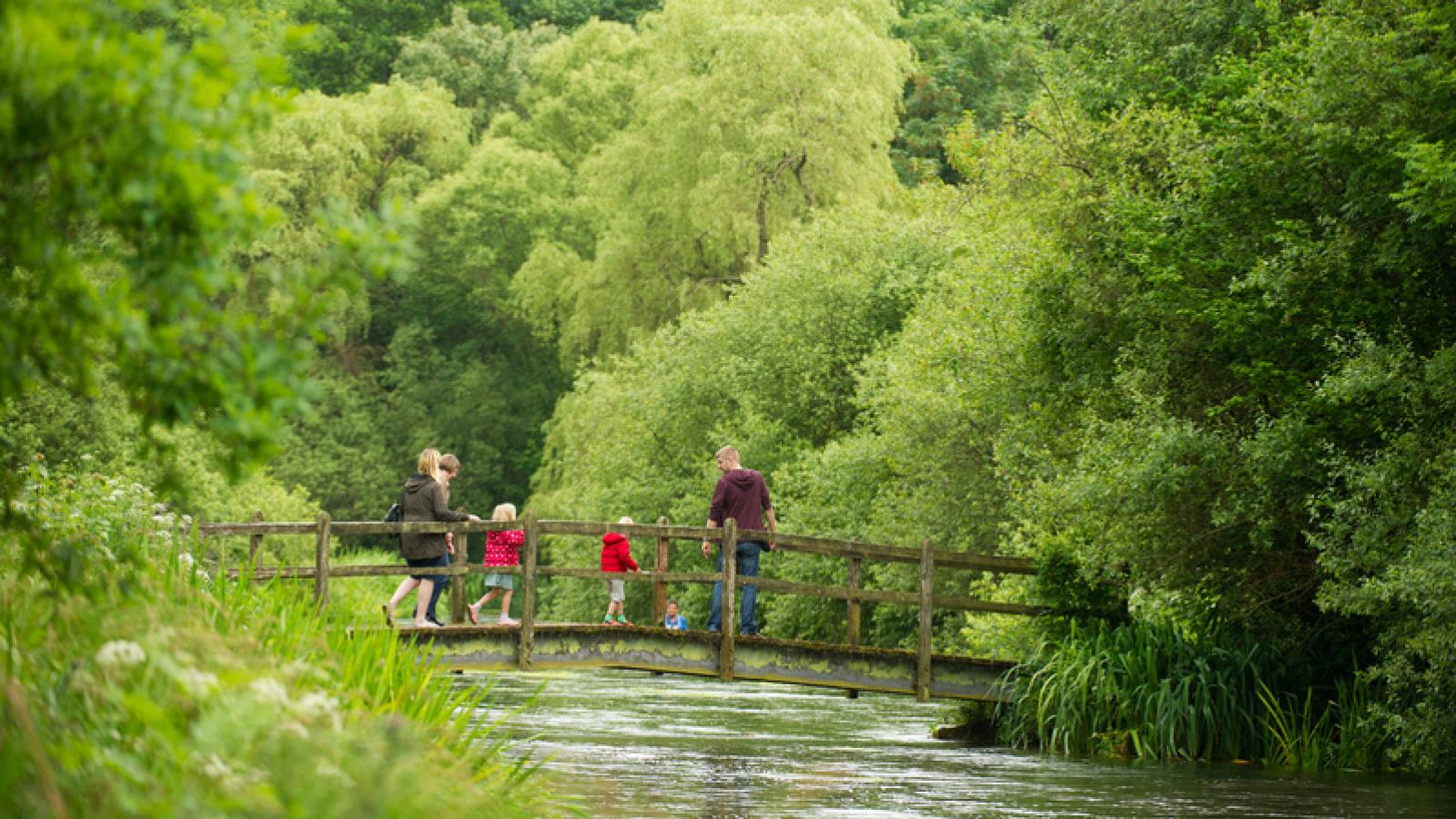 UK rivers and chalk streams | WWF