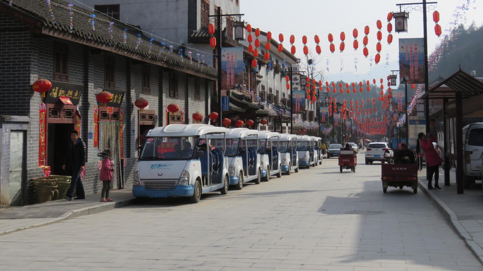 Giant pandas: living proof that conservation works | WWF