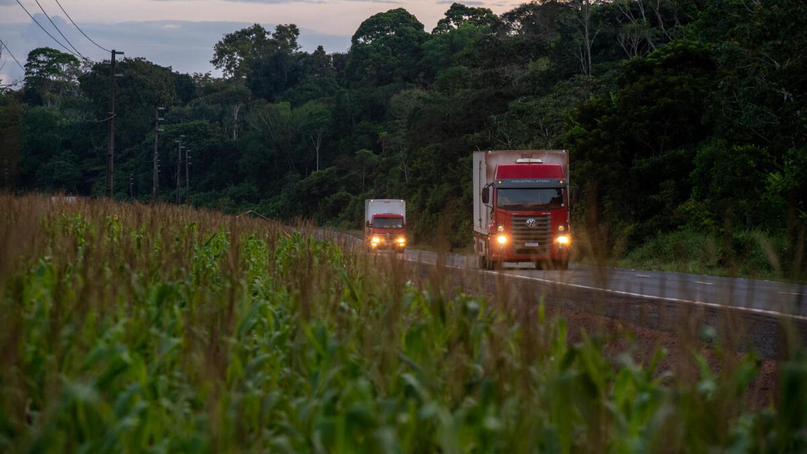 UK Climate change | WWF