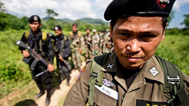 Asian elephants: intelligent, sociable, but endangered | WWF