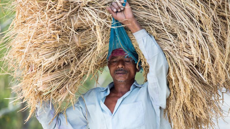 The Ganges: India's sacred river | WWF