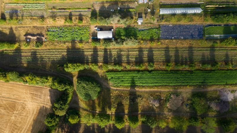 WWF's latest annual report | WWF