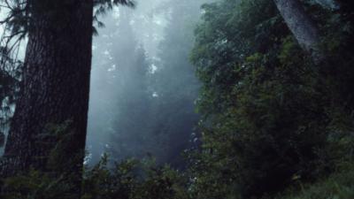 The awe-inspiring landscapes of the Eastern Himalayas | WWF