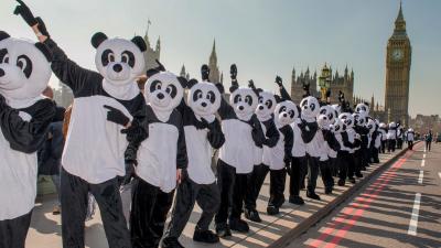 Improving employee engagement with WWF | WWF