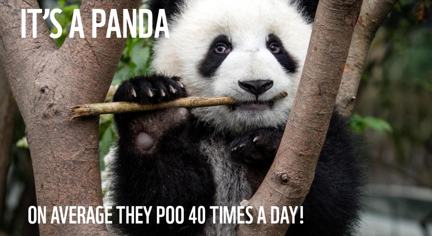 How well do you know your animal poo? | WWF