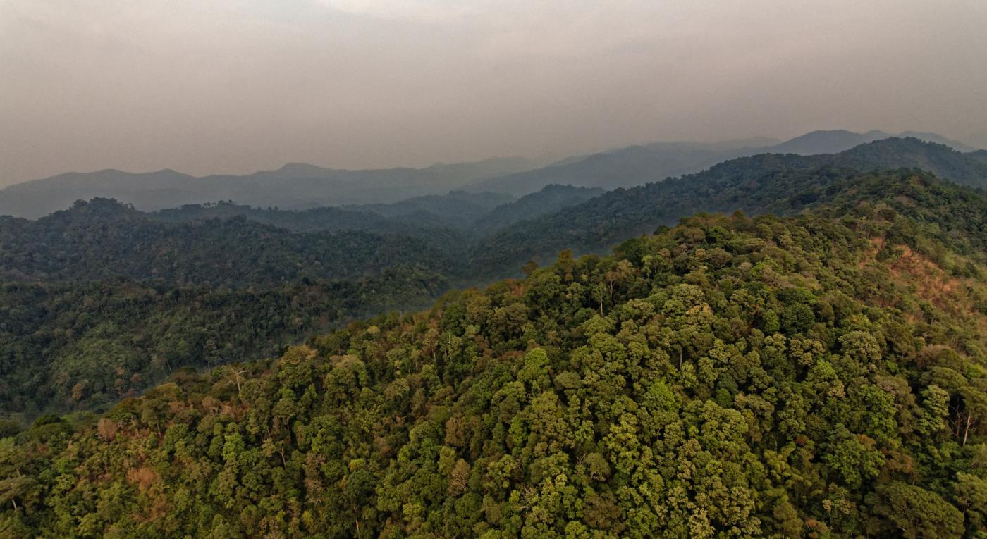 Aerial view of the Tenasserim Hills in the Tanintharyi region of ...
