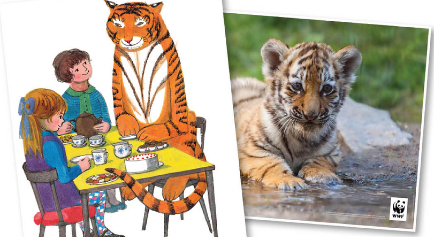 Tiger Activity Pack | WWF