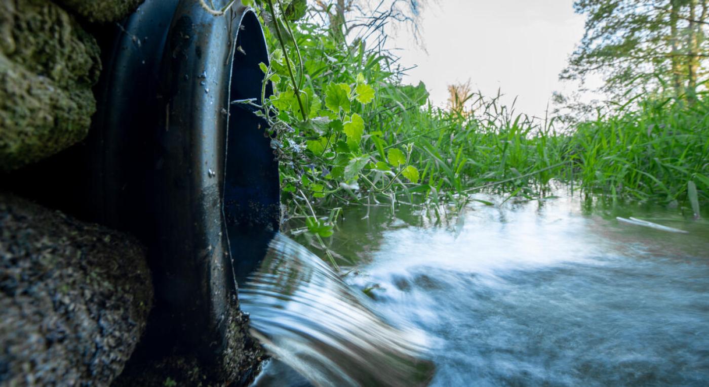 © Joseph Gray - WWF-UK.jpg | WWF