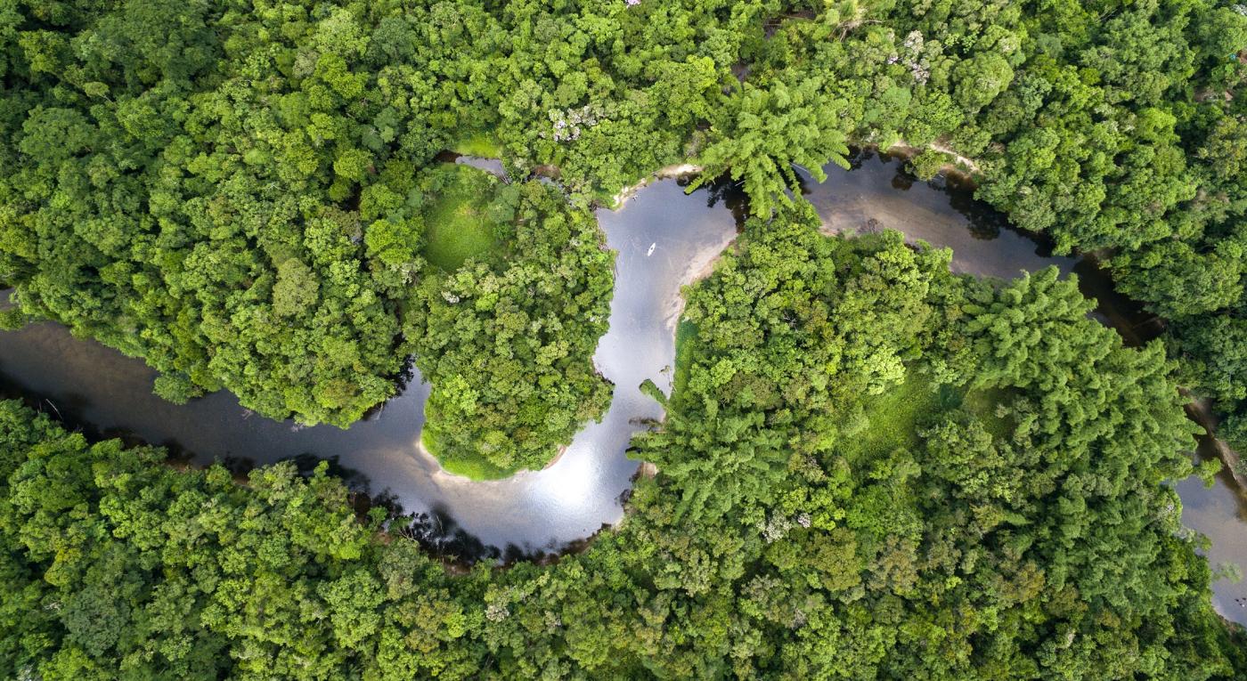 Aerial view of Amazon rainforest, Brazil | WWF