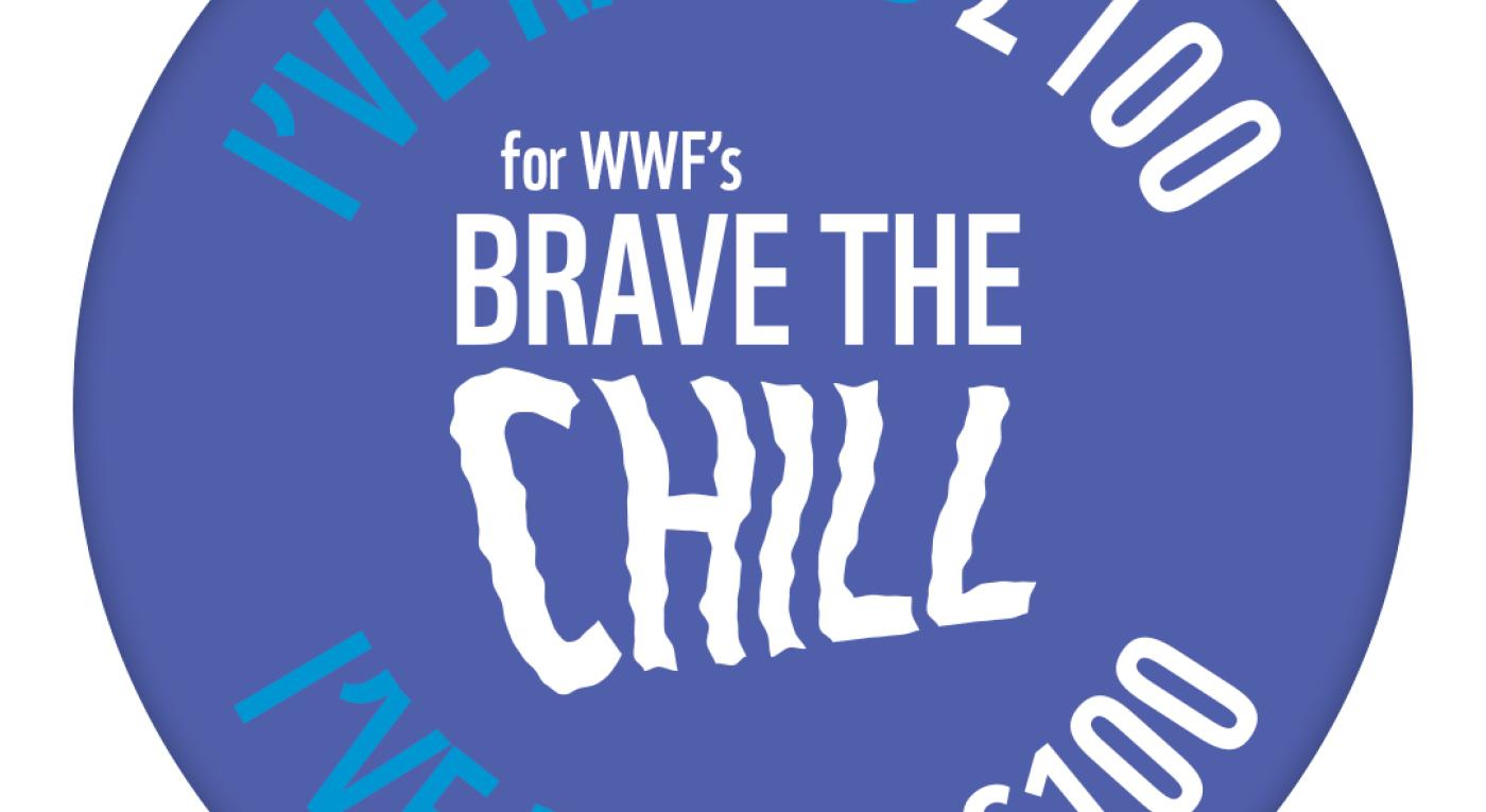 BTC £100 badge | WWF