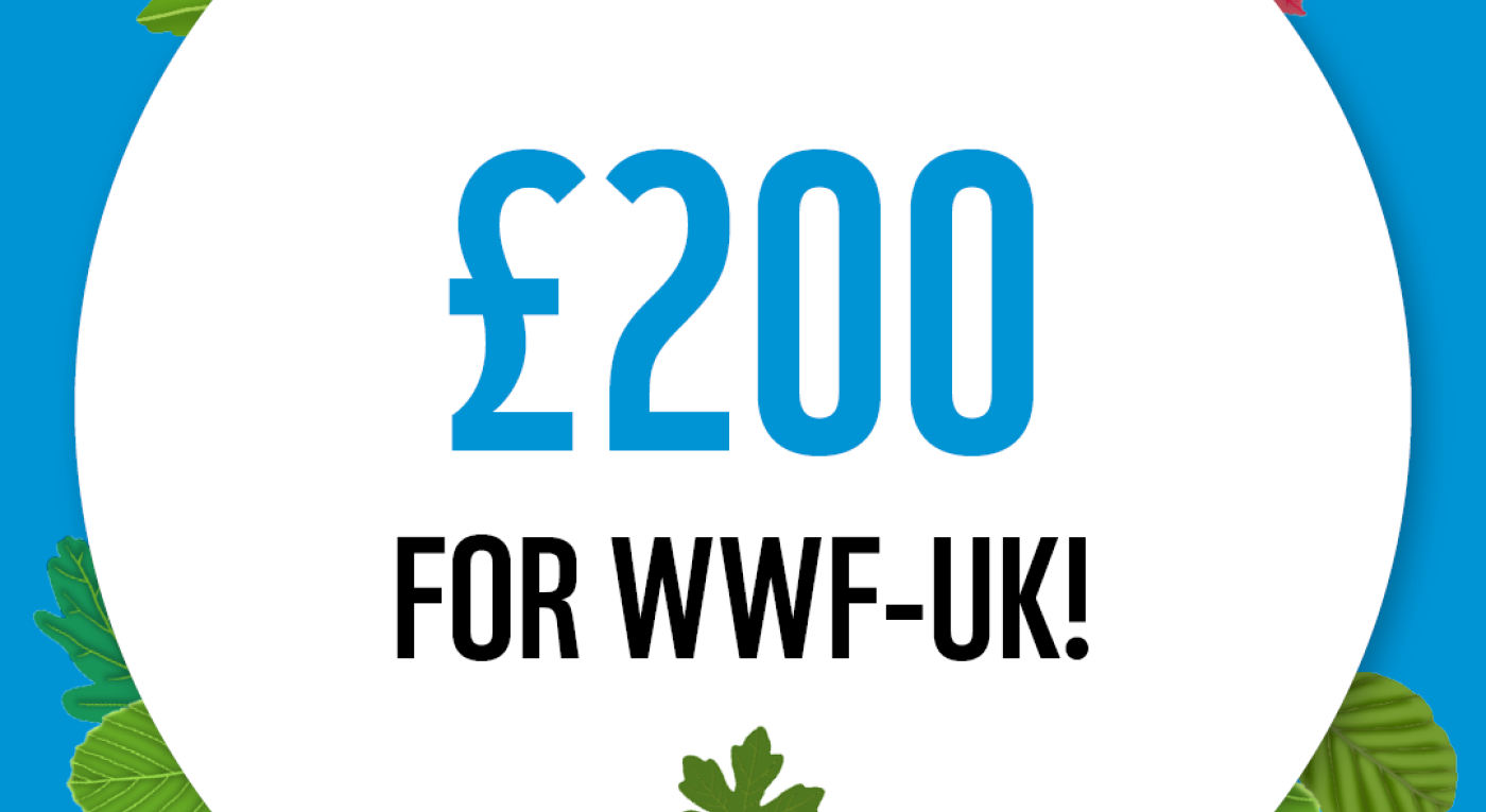 BWW_£200 RAISED BADGE | WWF