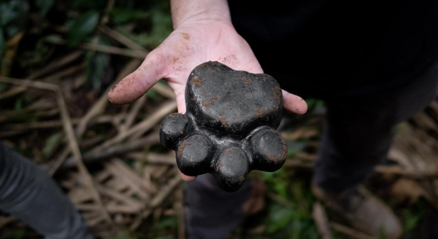 DSCF4774 (1).jpg | WWF