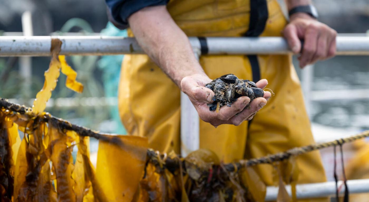 Medium_WW1221043.jpg | WWF