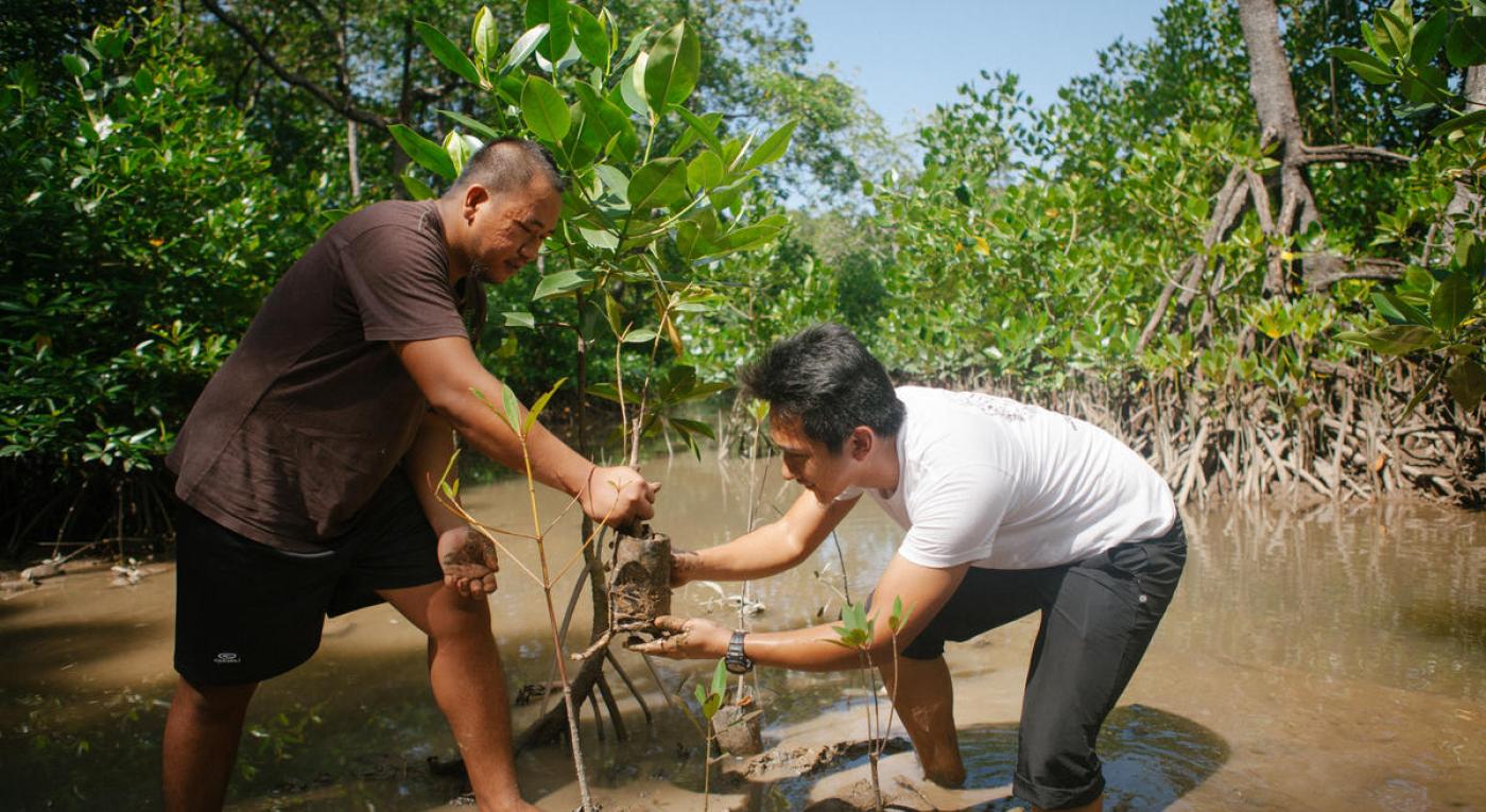 Medium_WW284841.jpg | WWF