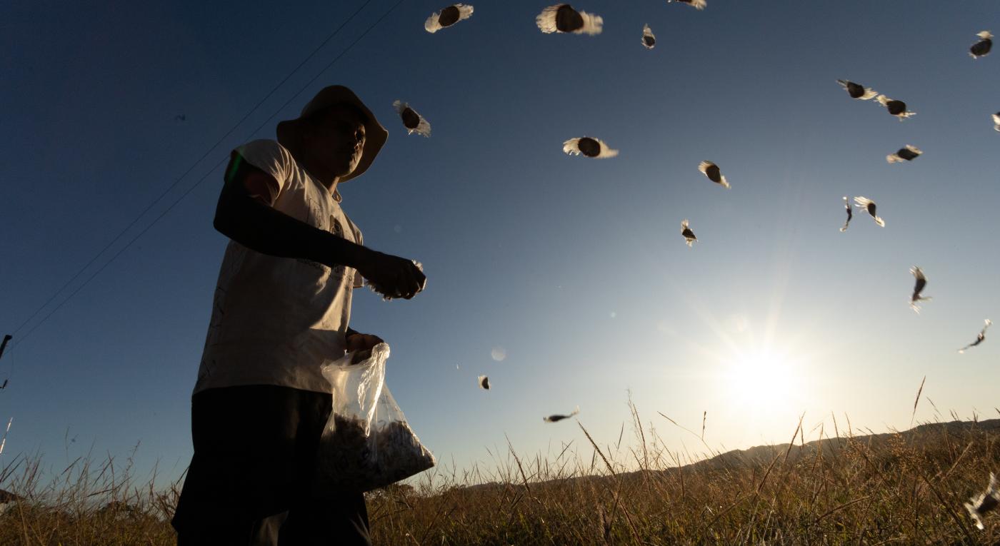 WWF_Cerrado de Pé-148.jpg | WWF