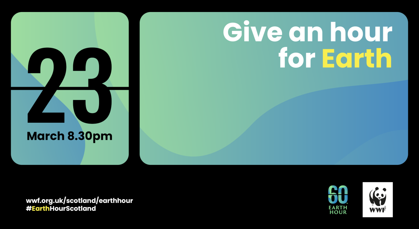Earth Hour Zoom Background - Scotland | WWF