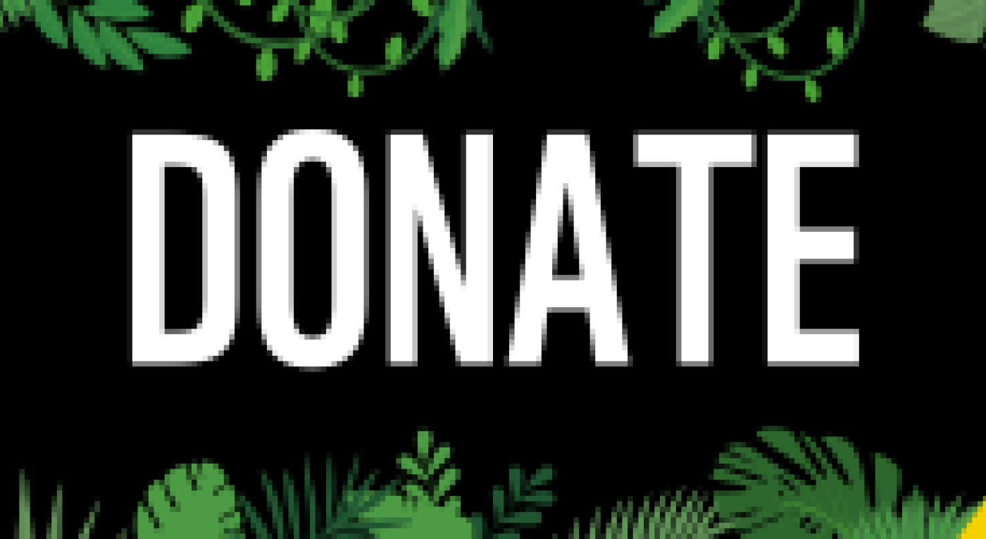 Livestream donate panel | WWF