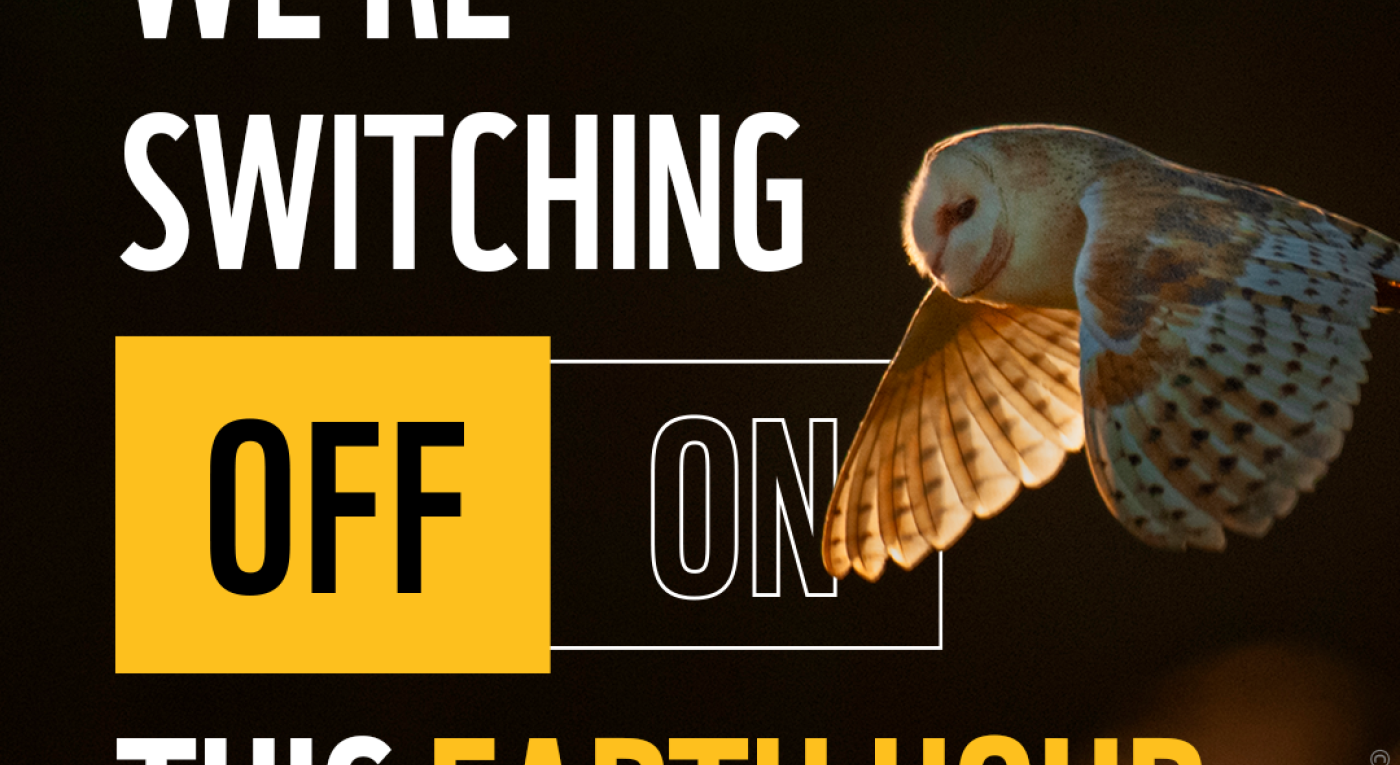 We're Switching Off Earth Hour Scotland | WWF