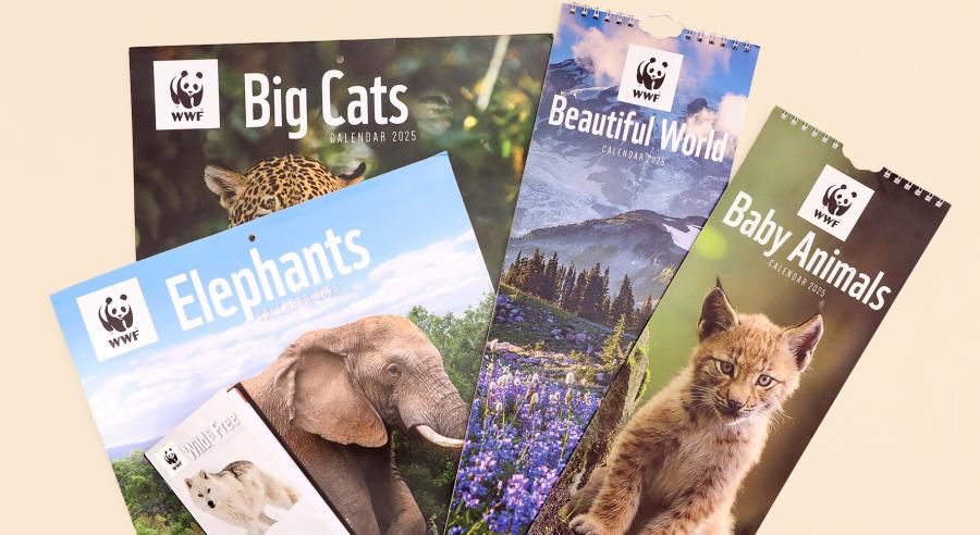 World Wide Fund for Nature | WWF