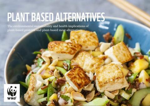 WWF Plant Based Alternatives Technical Report | WWF