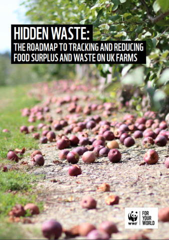 Hidden Waste Roadmap | WWF