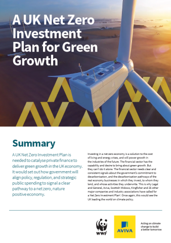 A UK Net Zero Investment Plan for Green Growth | WWF