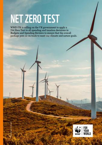 Net Zero Delivery Tracker March 2021 - Full Report | WWF