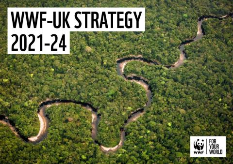 WWF-UK Strategy 2021-24 | WWF