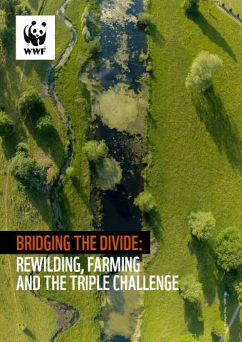 Bridging the Divide | WWF
