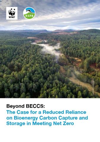 Beyond BECCS | WWF