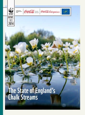 The State of England's Chalk Streams Report | WWF