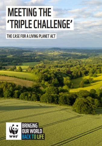 Meeting the Triple Challenge | WWF