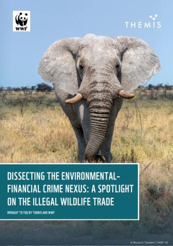 Dissecting the environmental financial crime nexus | WWF