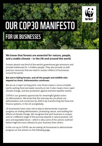 WWF’s COP30 Manifesto for UK Businesses | WWF