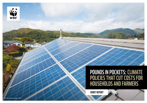 Pounds in Pockets Summary | WWF